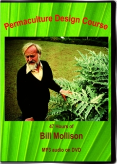 Kunaki -- CD/DVD manufacturing and publishing service