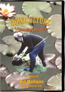 Kunaki -- CD/DVD manufacturing and publishing service